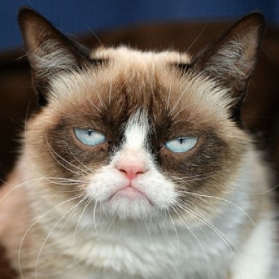 IELTS Listening – Top 14 tips! · engVid