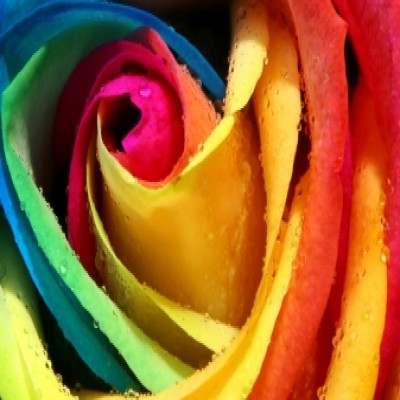 How to express opposing ideas in English: despite, although ...