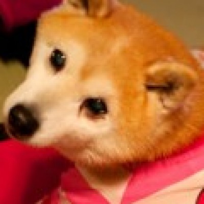 Do you know these DAY & NIGHT idioms in English? · engVid