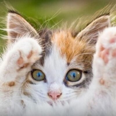 Have better conversations using the FORD method · engVid