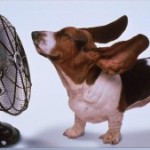 Basic English Grammar – MOST, ALMOST, or ALMOST ALL? · engVid