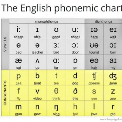 Sound more natural in English: Learn and practice 5 FRONT VOWELS · engVid
