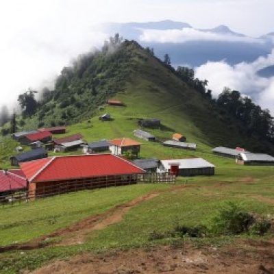 Have better conversations using the FORD method · engVid