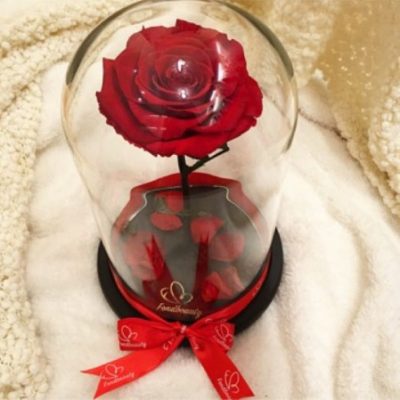 AT, ON, or IN? The Triangle Method for Prepositions of Place · engVid