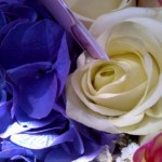 Basic English Grammar – MOST, ALMOST, or ALMOST ALL? · engVid