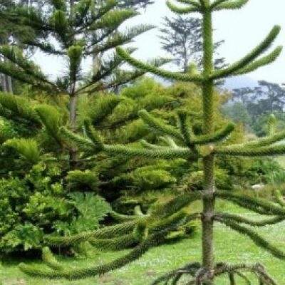 AT, ON, or IN? The Triangle Method for Prepositions of Place · engVid