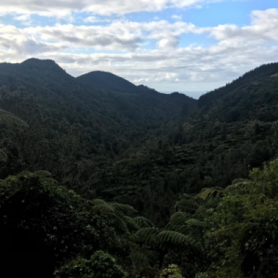 Learn English Tenses: PRESENT PERFECT with Unfinished Time · engVid