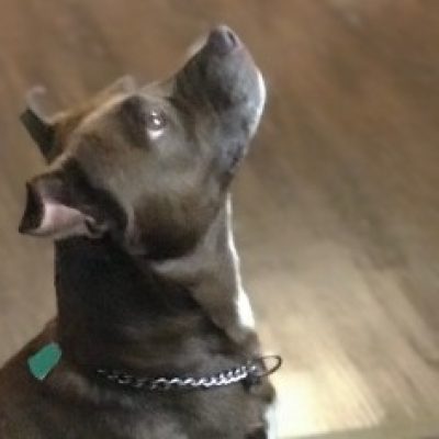 AT, ON, or IN? The Triangle Method for Prepositions of Place · engVid