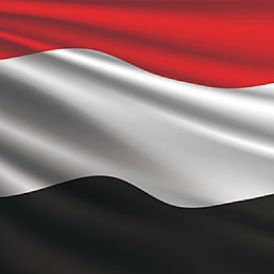 Basic English Errors: Duplicate Subjects · engVid