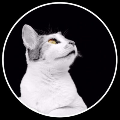 Polite English: Ask Better Questions (and get better results) · engVid