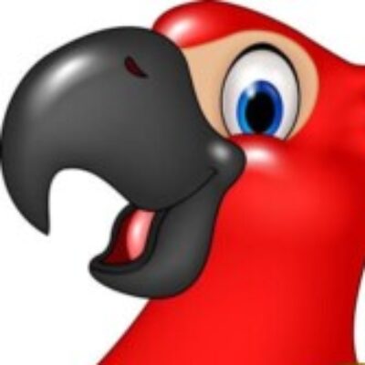 Test Your English Vocabulary: SHAPES & PATTERNS · engVid