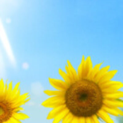 Essential English Grammar: WILL or WOULD? · engVid