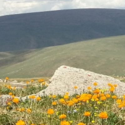 Learn English: “last year” OR “in the last year” · engVid