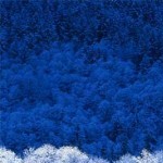 English Grammar – How Often? – ALWAYS, USUALLY, OFTEN, SOMETIMES, NEVER ...