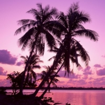 English Grammar: Past Simple Time Markers · engVid